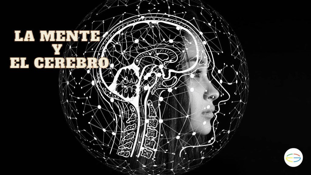 👉La mente y el cerebro, motores fundamentales de nuestra existencia - ESSENTIAL ELEMENTS