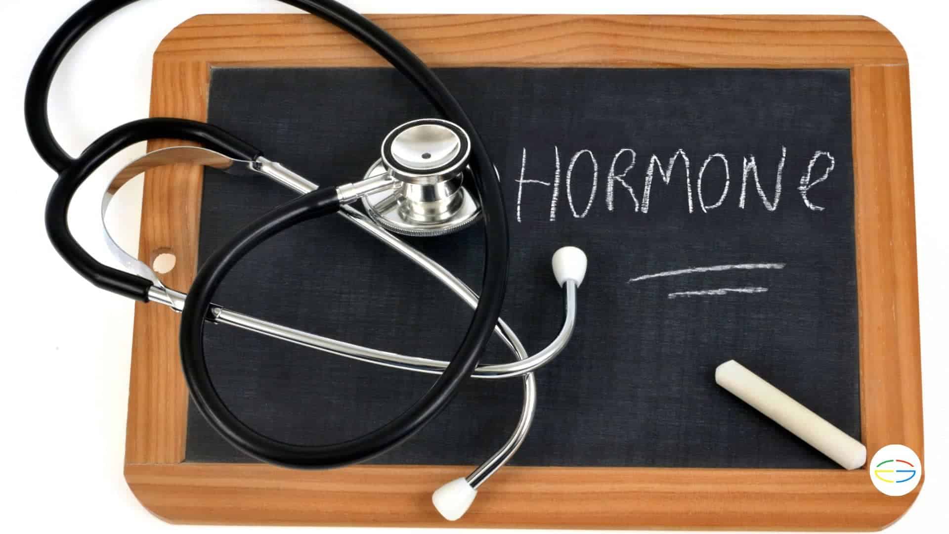 👉¿Qué son las misteriosas hormonas andrógenas y cuáles son sus ...