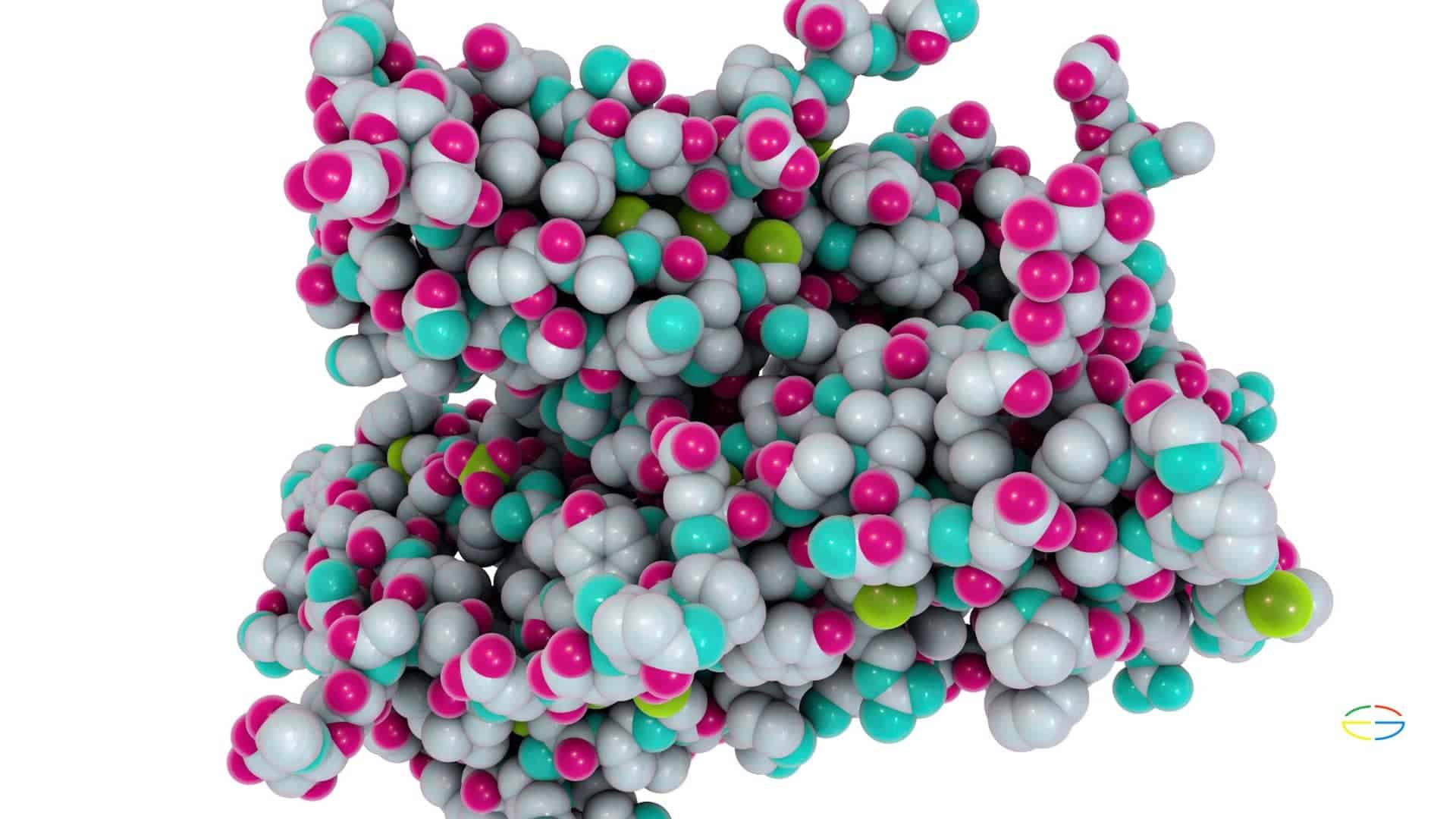 👉¿Qué son las hormonas lh y fsh y cuál es su impacto en el ciclo reproductivo del ser humano ...