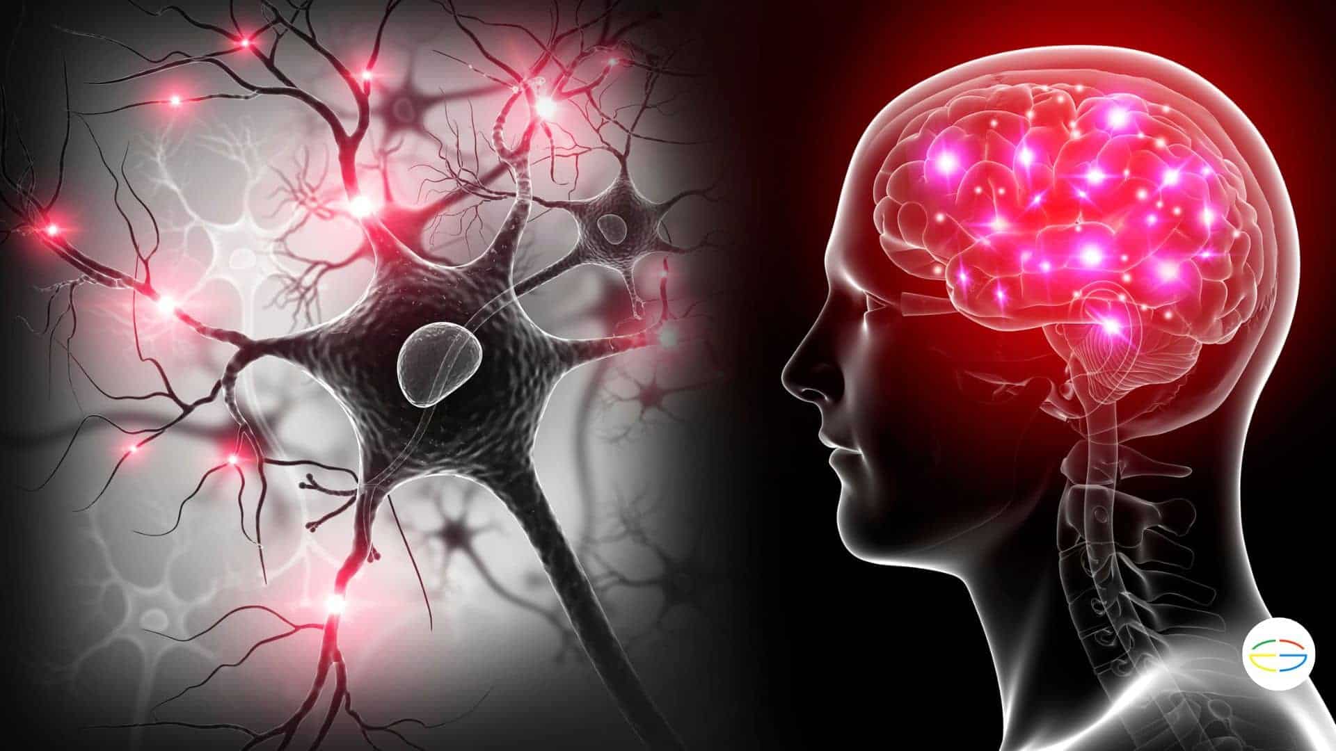 👉Anatomía de las emociones: comprende el intrincado universo de tus ...
